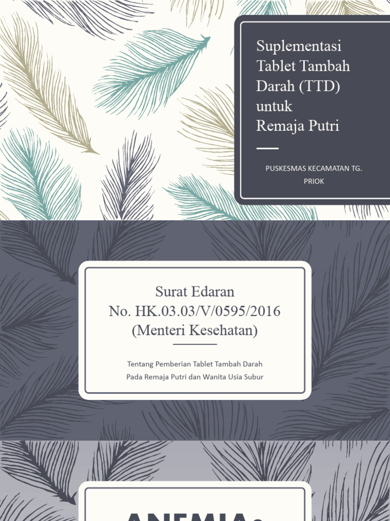 Suplementasi TTD untuk Remaja Putri | PDF