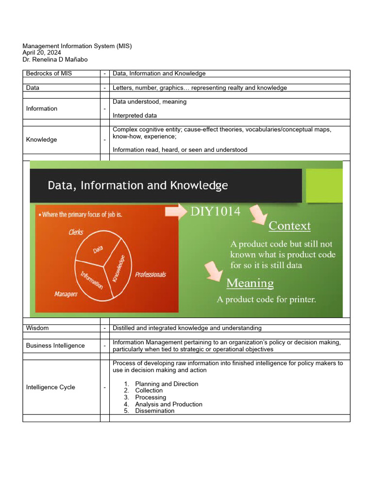 Management Information System Pdf Information System