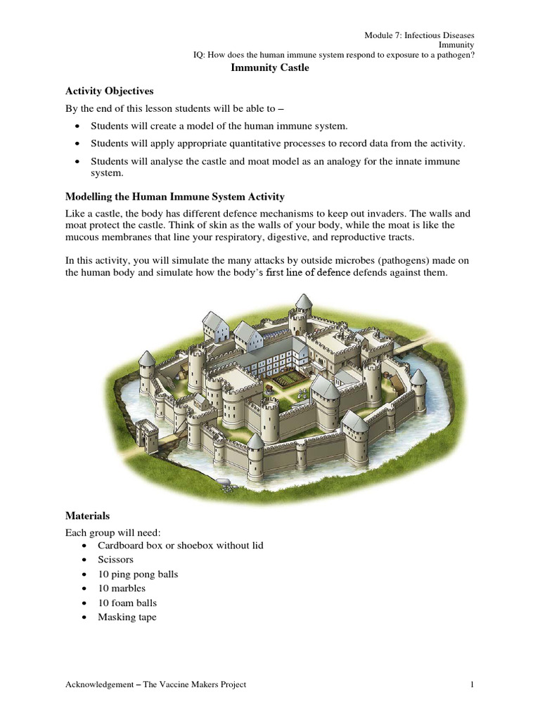 Immunity Castle Worksheet | PDF | Immune System | Infection
