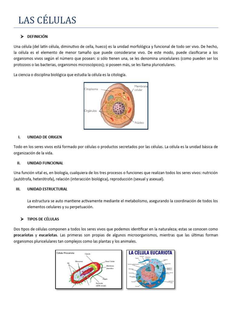 Tema #1 Las Células - Repaso | PDF | Biología Celular) | Plantas