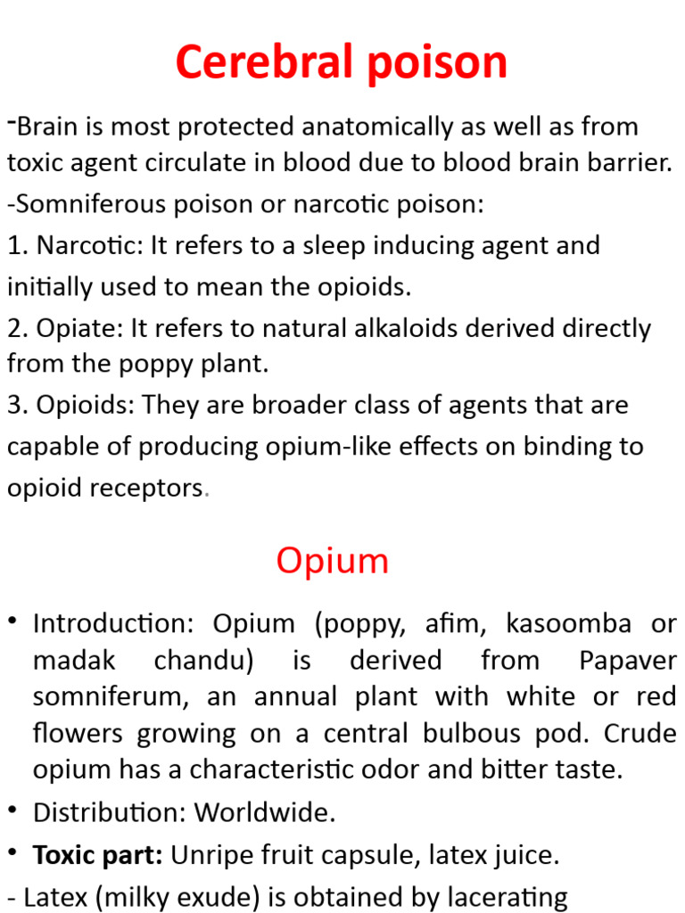 Cerebral Poison - Opium | PDF | Opioid | Morphine