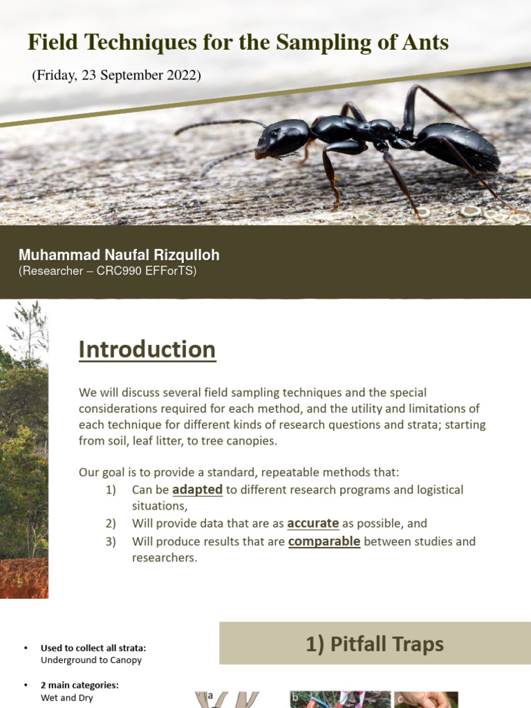 Naufal Qisqulloh-Field Techniques For The Sampling of Ants | PDF | Nest | Ant