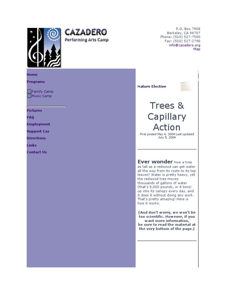 Trees & Capillary Action: Home Programs | PDF | Properties Of Water ...