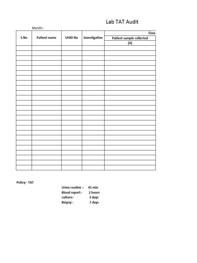 6 Aac4d Lab Tat Audit | PDF