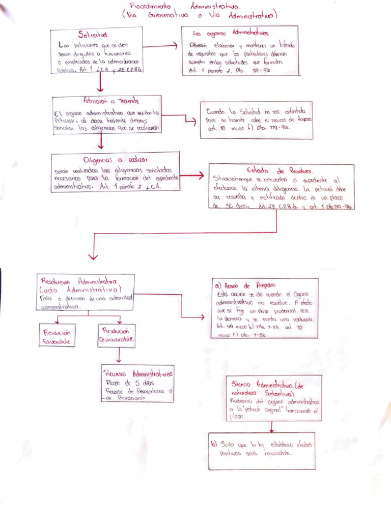 Esquema de Procedimiento Administrativo Tarea | PDF | Estudios de idiomas extranjeros
