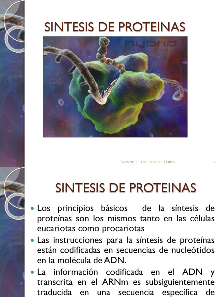 Proceso de Síntesis de Proteínas | PDF | Traducción (biología) | Rna
