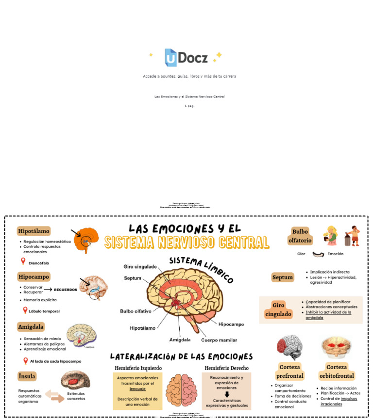 infografia-sistema-l-370442-downloadable-5217501 | PDF | Las emociones | Amígdala
