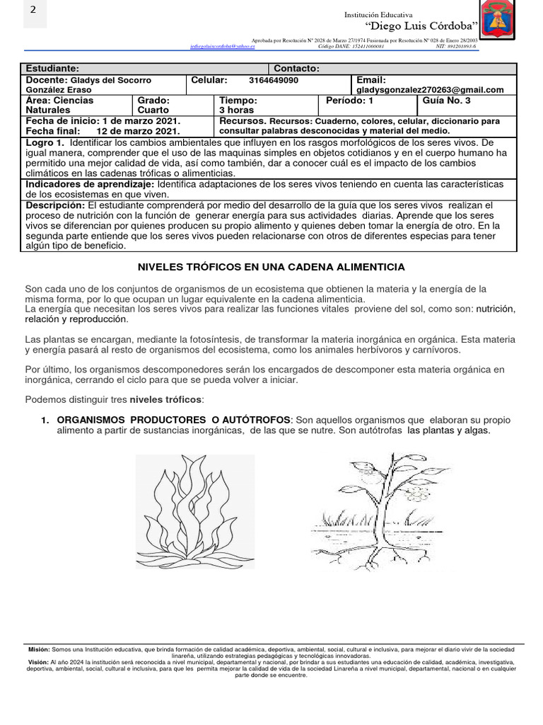 G3P1 Ciencias 4° | PDF | Naturaleza | Biología