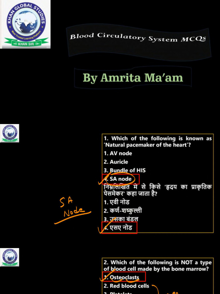 Blood Circulatory System Disorders and Test | PDF