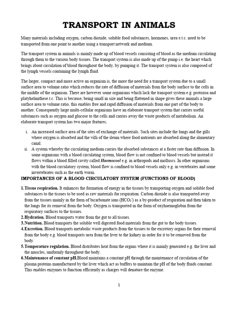 Uace Biology (Transport in Animals) 2 | Download Free PDF | Atrium ...