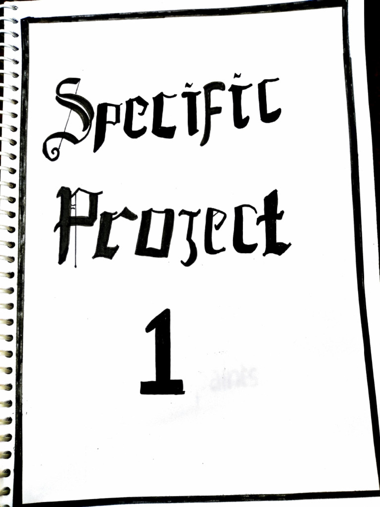 Accounts Project | PDF