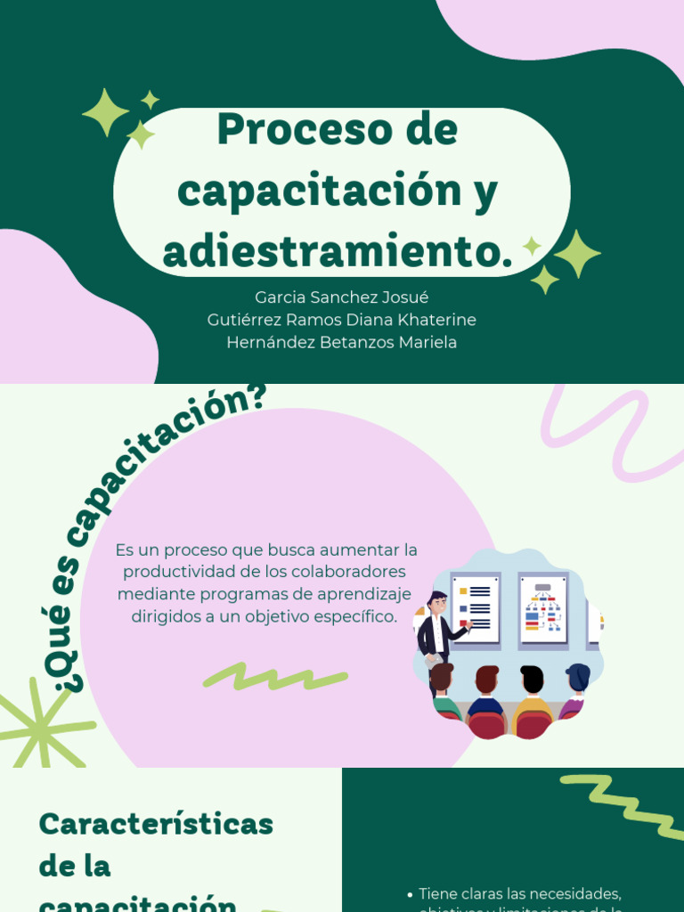 proceso de capacitación y adiestramiento | PDF | Business