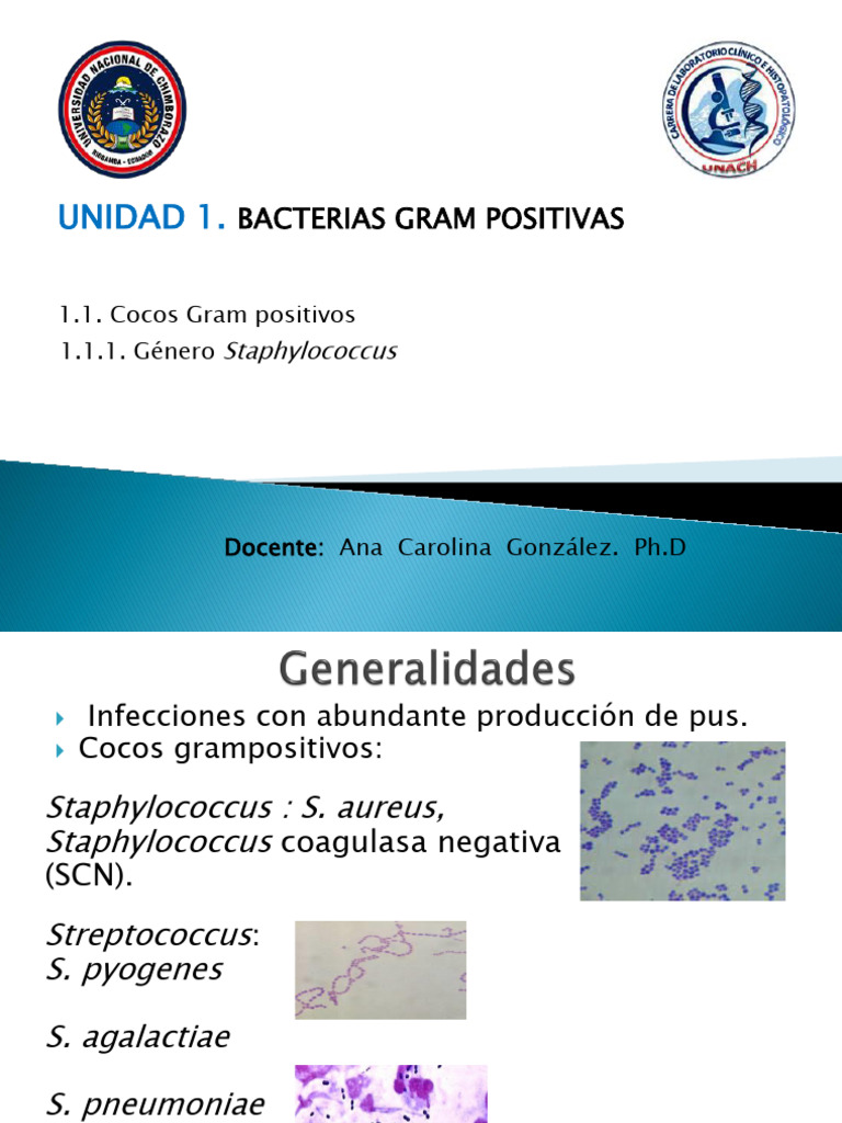 Staphylococcus Bdd9f81f1c80cc0ecd9a6321b37ceebc | PDF | Staphylococcus ...