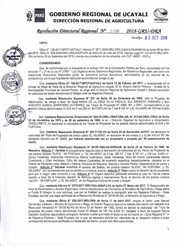 RDR - N - 358 2018 Gru Dra | PDF | Debido al proceso | Ciencias Políticas