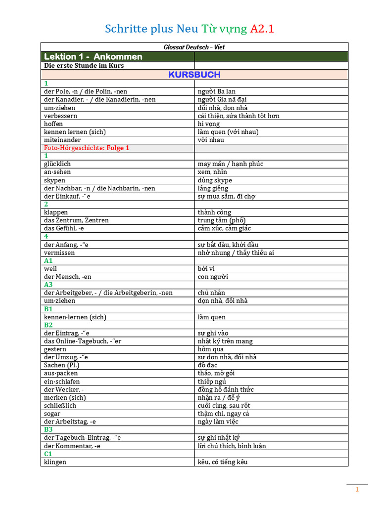 Schritte Plus Neu: Từ Vựng | PDF
