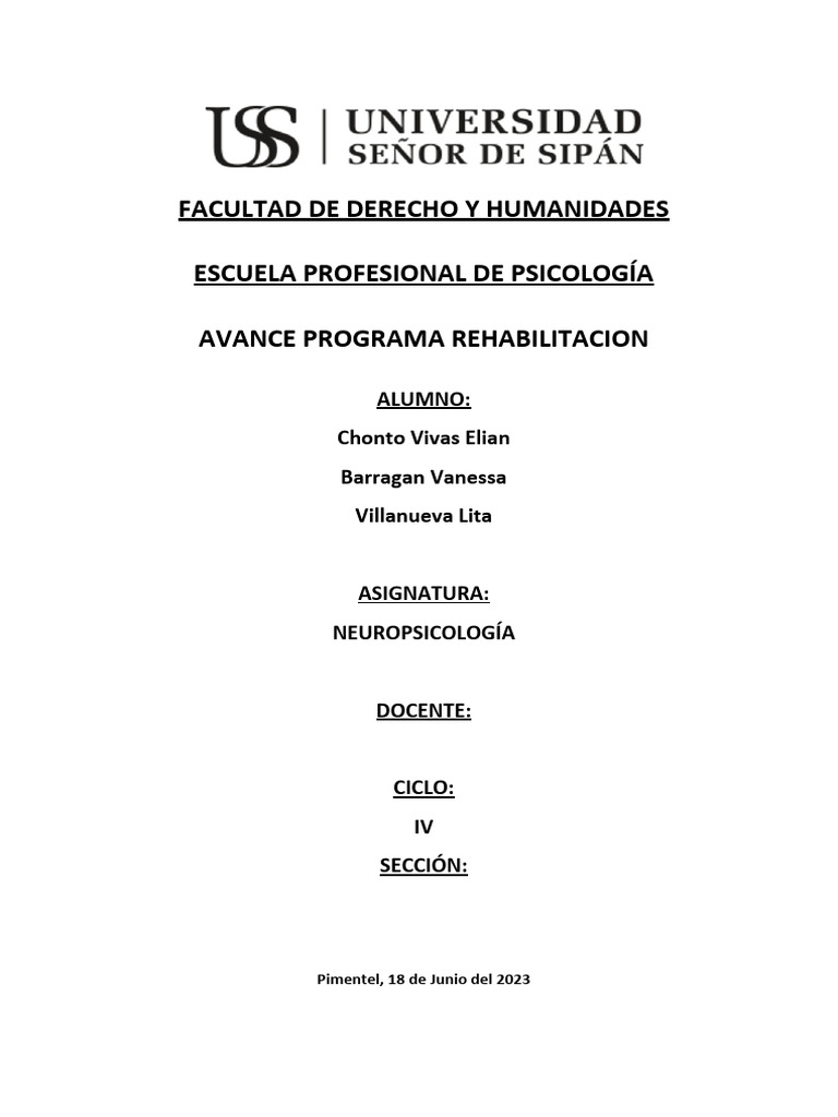 Avance Programa Rehabilitacion - Chonto | PDF | Memoria | Atención