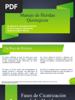 Heridas Quirurgicas | PDF | Herida | Especialidades Medicas