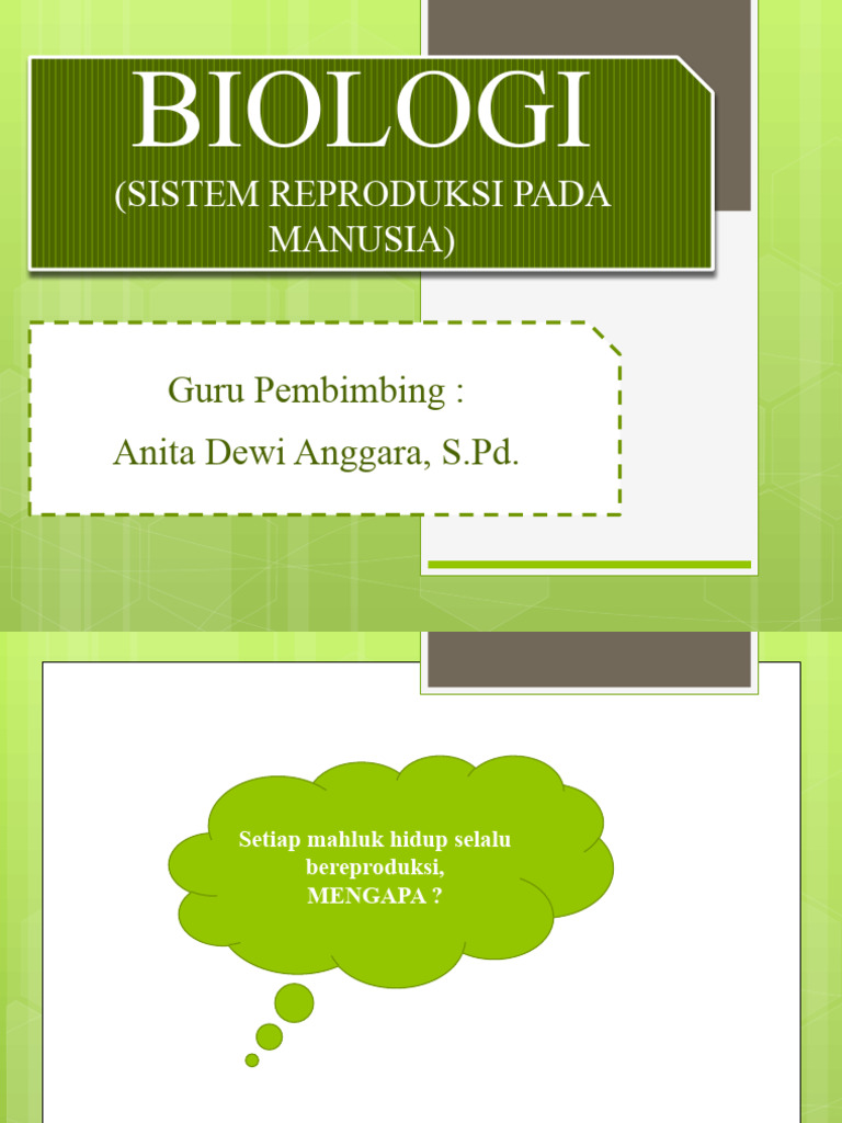 Biologi (Sistem Reproduksi kelas XI) | PDF Biologi (Sistem Reproduksi kelas XI) | PDF