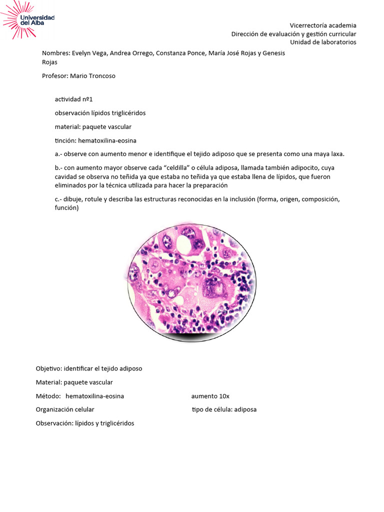 Ultimo Laboratorio Biologia | PDF | Tinción | Biología Celular)