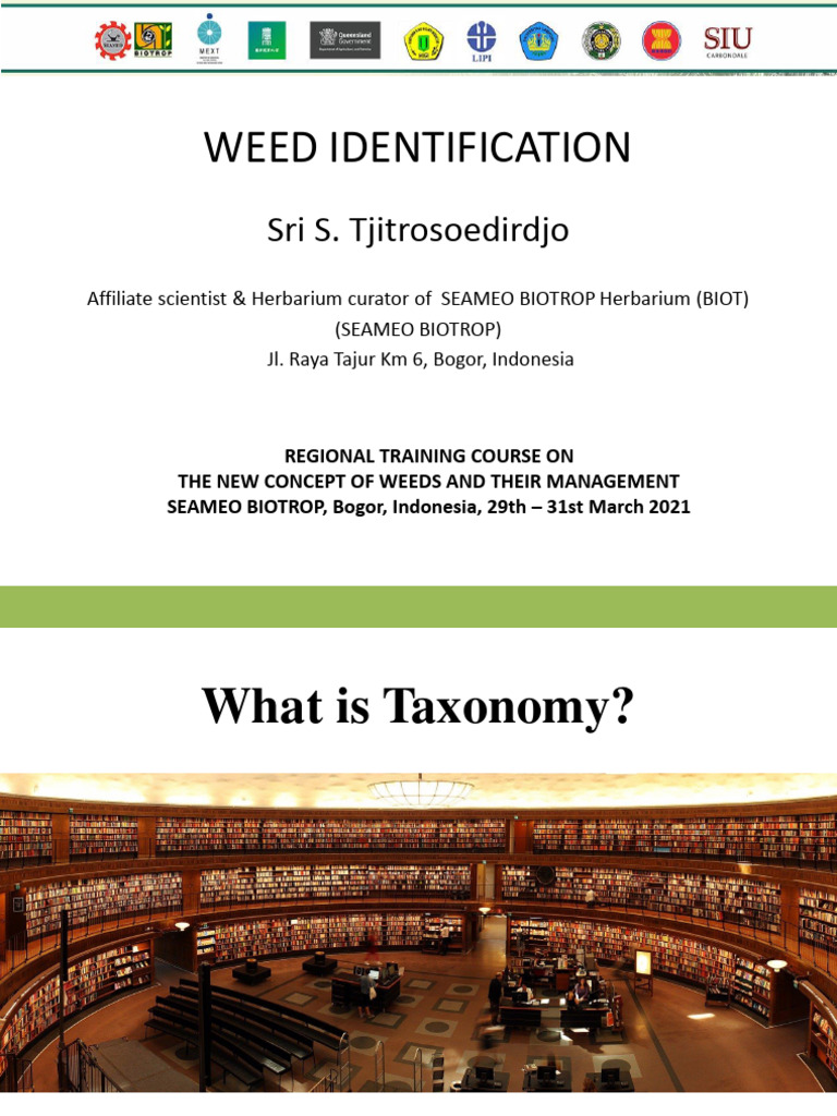 Weeds Identification | PDF | Branches Of Botany | Botany