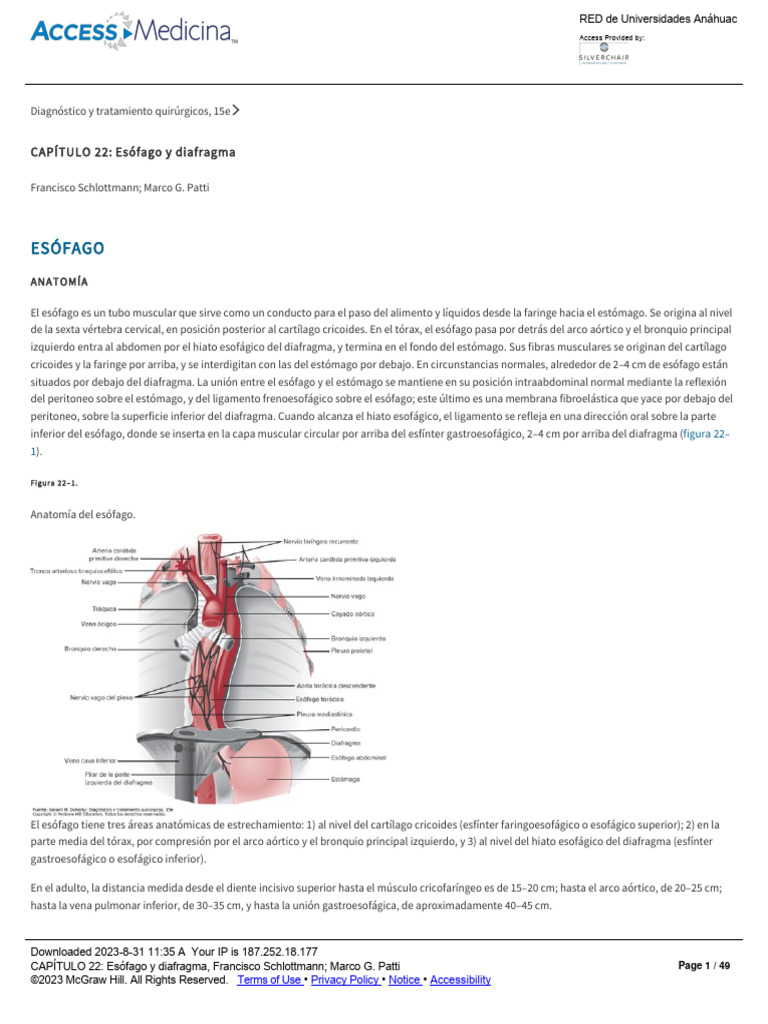 Anatomía y fisiología del esófago | PDF | Esófago | Estómago
