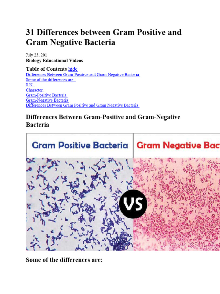 Differences Between G+VE & G-VE BACTERIA | PDF | Gram Positive Bacteria | Gram Negative Bacteria