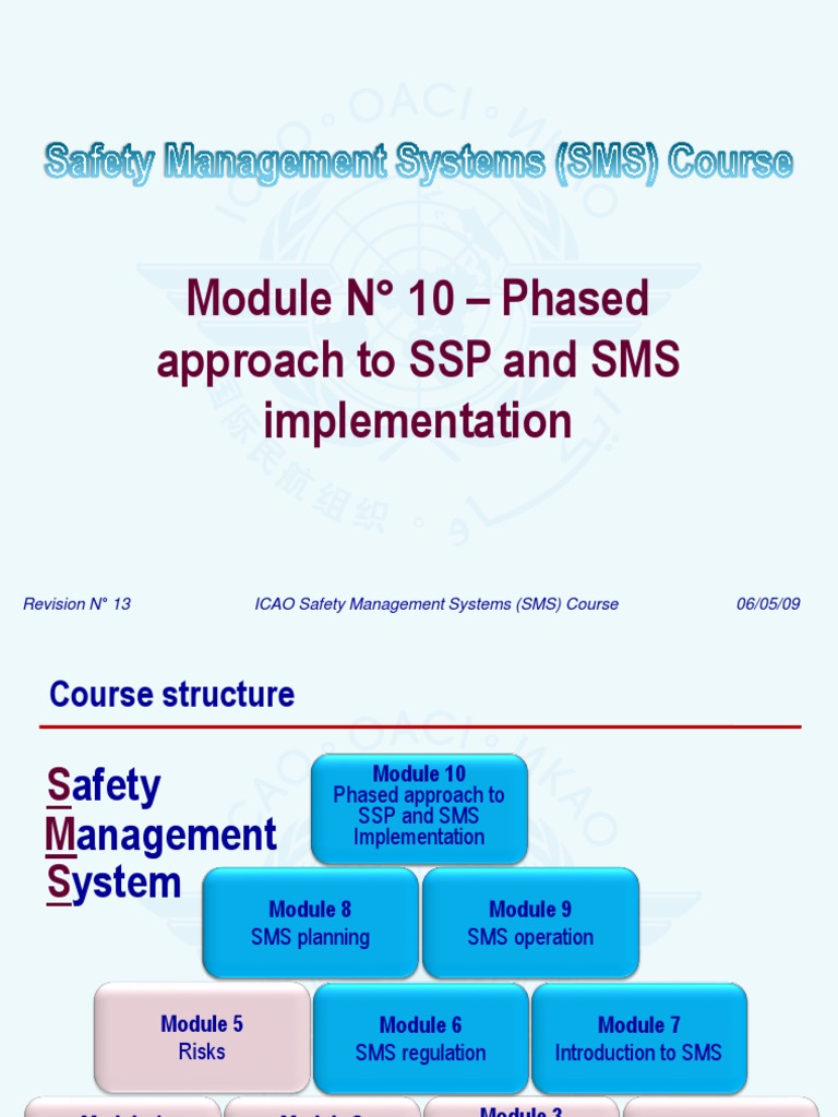 ICAO SMS M 10 - Approach (R013) 09 (E) | PDF | Risk Management | Risk