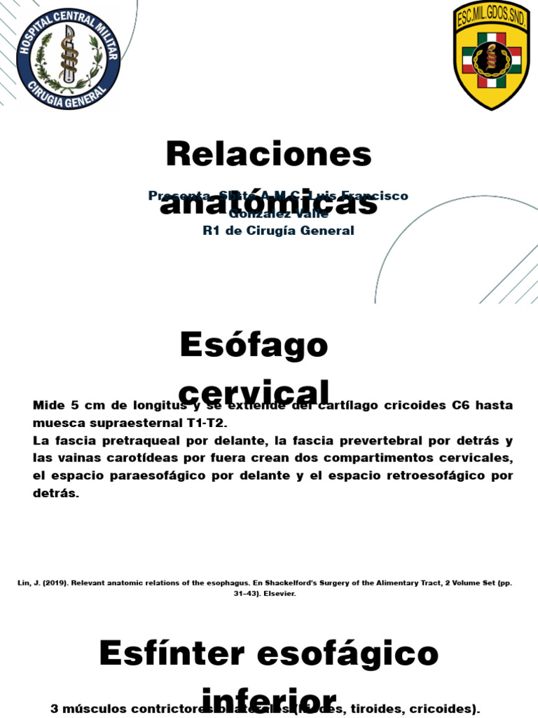Relaciones anatomicas | PDF | Esófago | Estómago