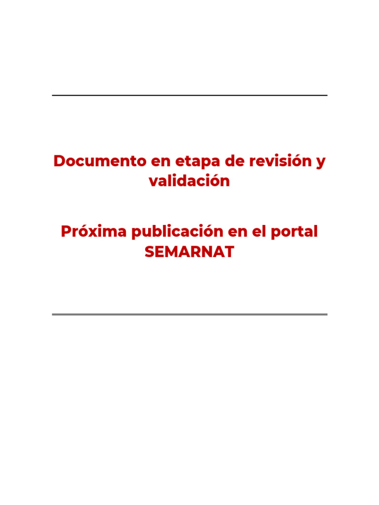 Documento en Etapa de Revisi N y Validaci N | PDF
