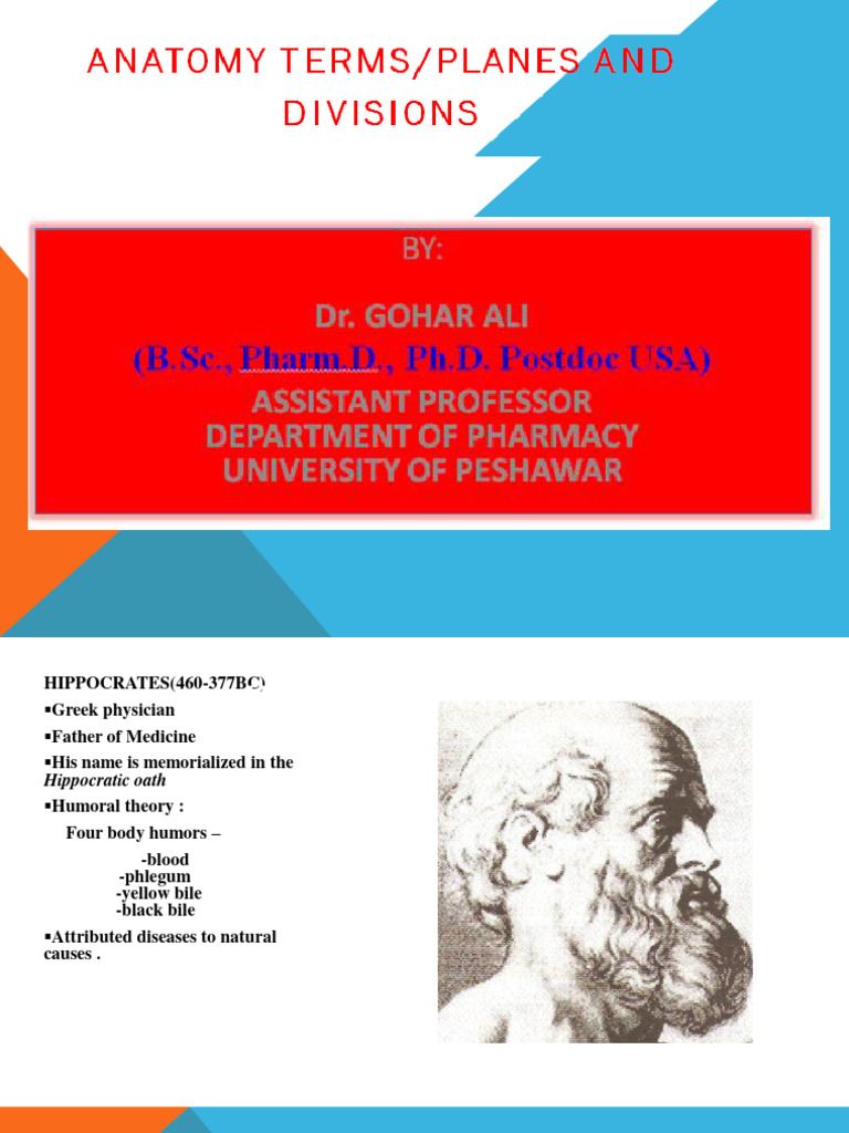 Human Anatomy Lecture 02 | PDF | Anatomical Terms Of Motion | Anatomy