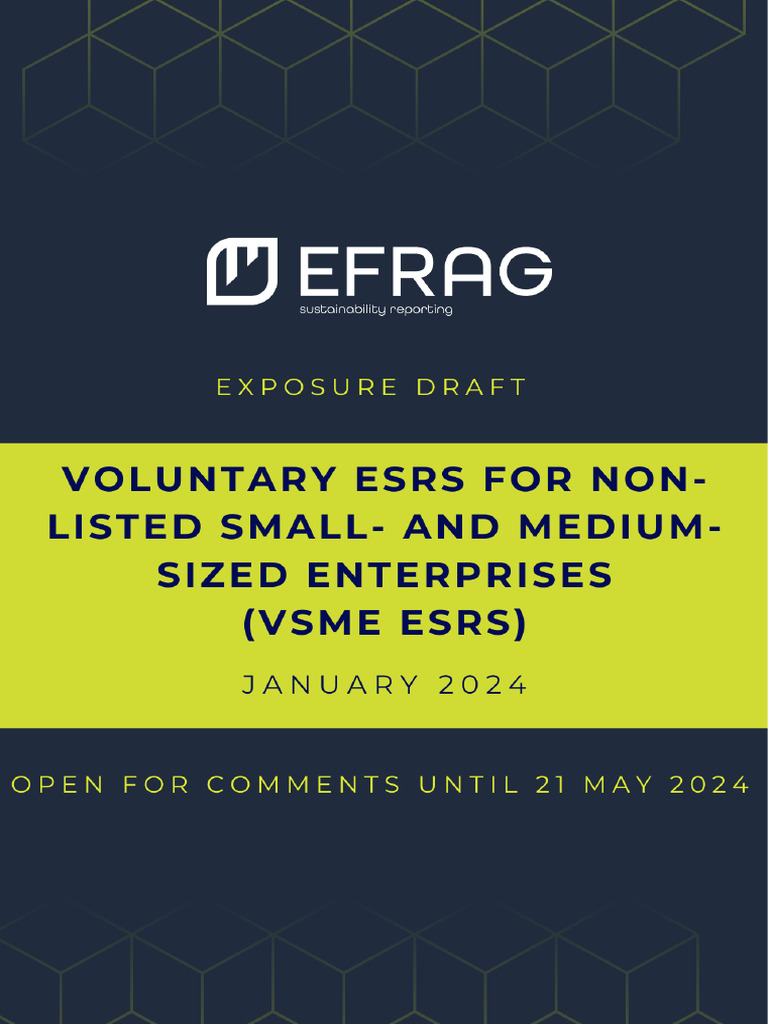 VSME ED January 2024 | PDF | Risk | Sustainability