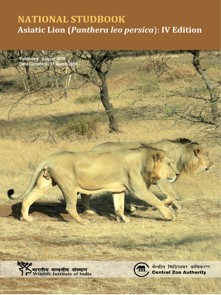 Asiatic Lion Studbook | PDF | Lion