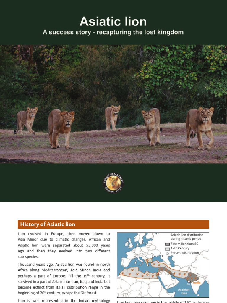 8 Asiatic Lion Conservation Booklet | PDF | Lion | Leopard