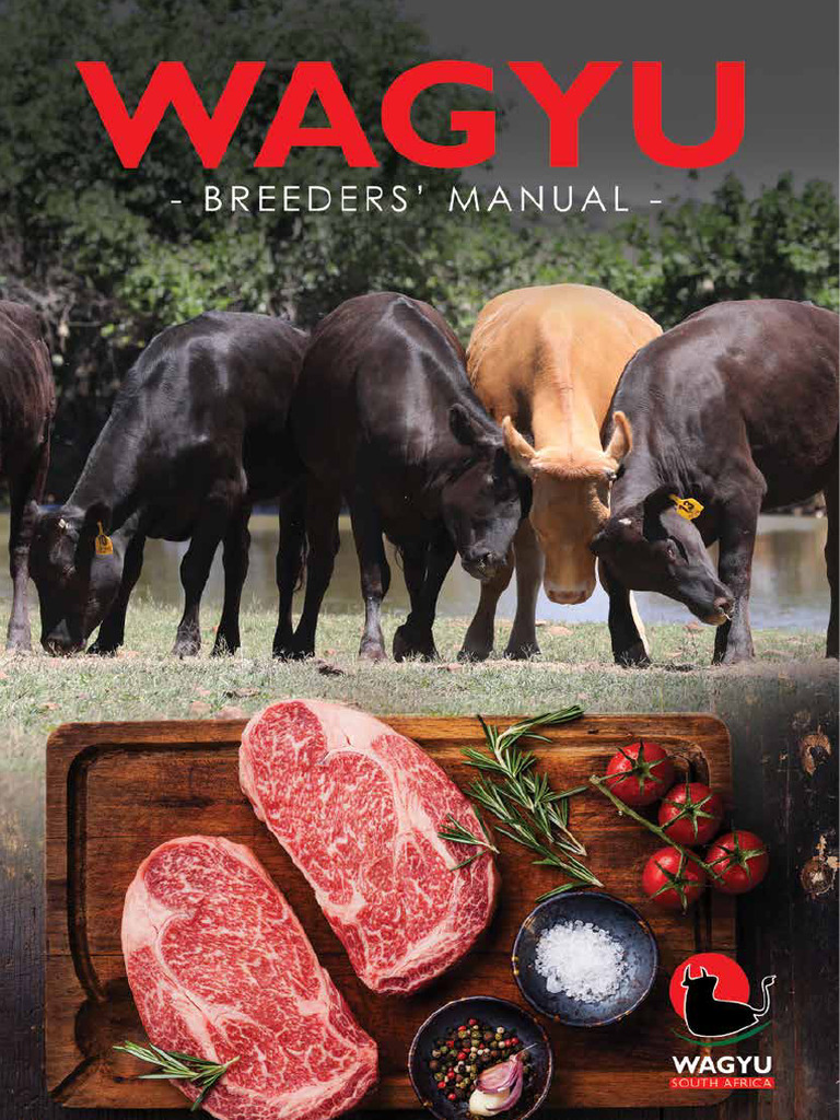 Wagyu Breeders Manual | PDF | Fat | Cattle