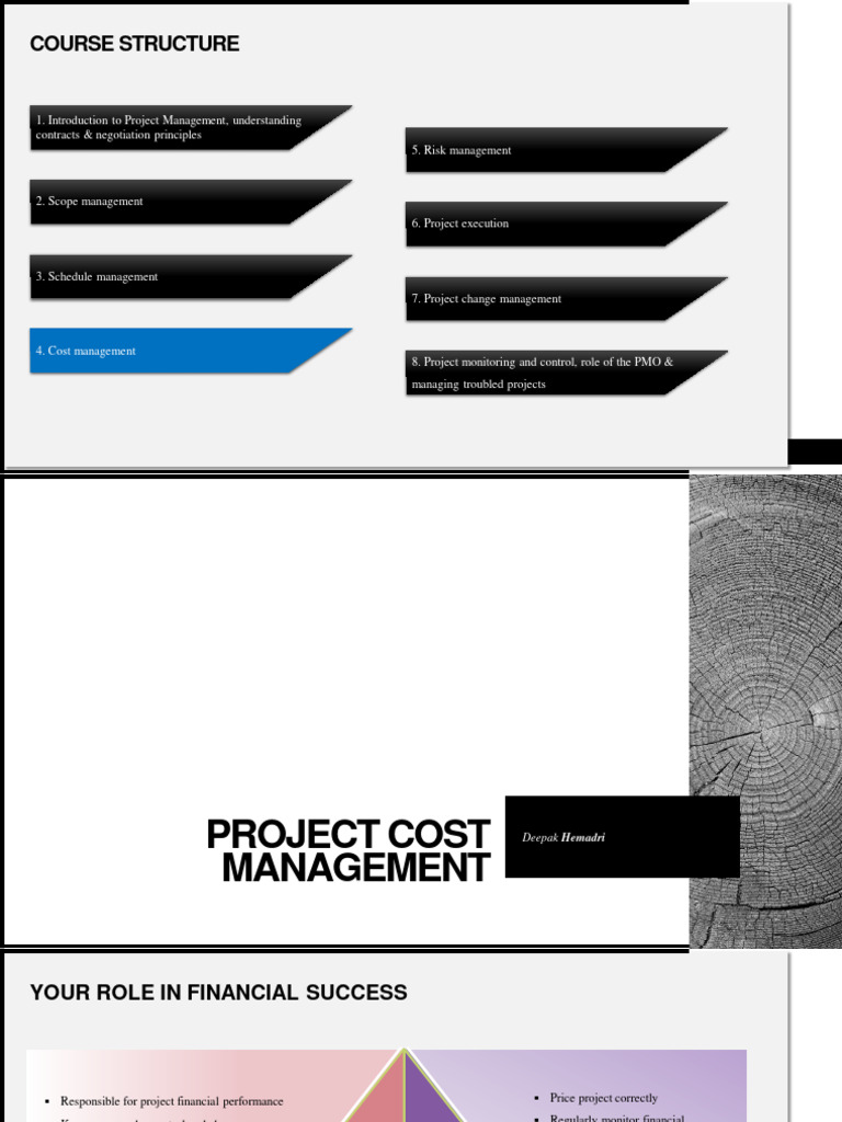 Project Financial Management | Download Free PDF | Business