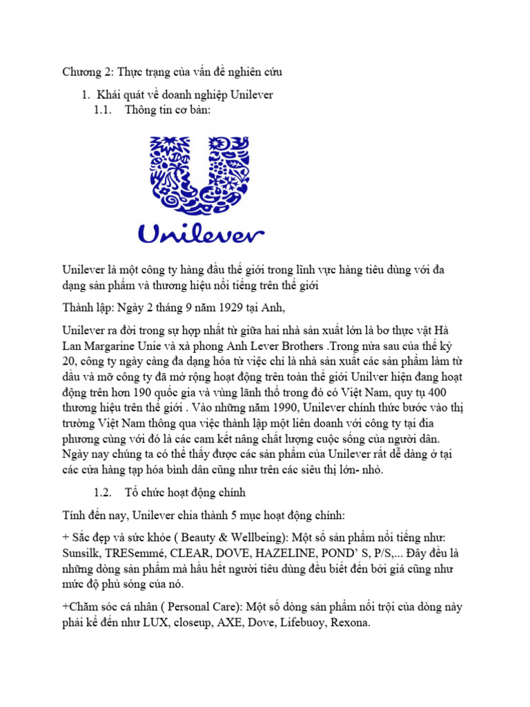 Chương 2 Unilever | PDF