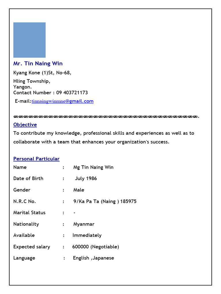 Mr. Tin Naing Win: Tinnaingwinmne | PDF | Engineering