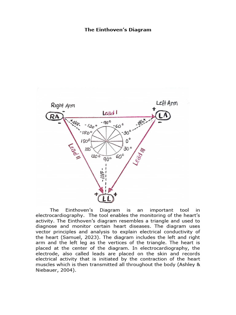The Einthoven Diagram | Download Free PDF | Electrocardiography | Heart