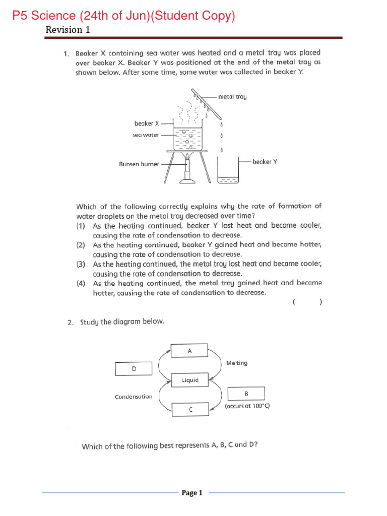 P5 Science (24th of Jun) (Student Copy) | PDF