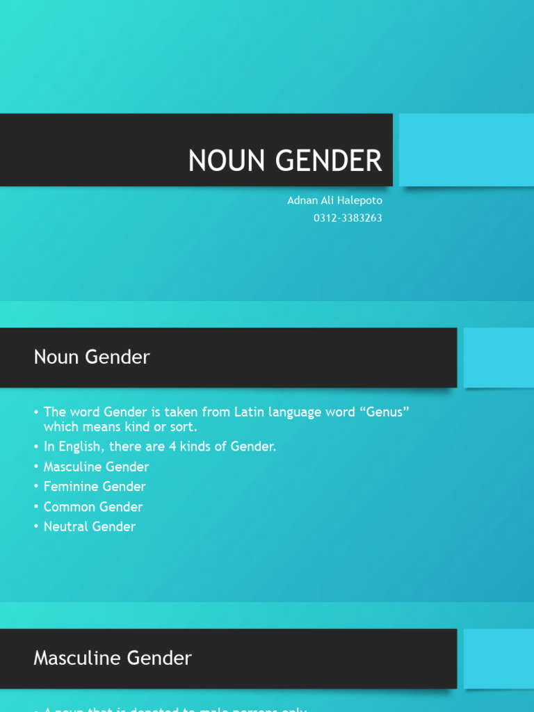 Noun Gender | PDF