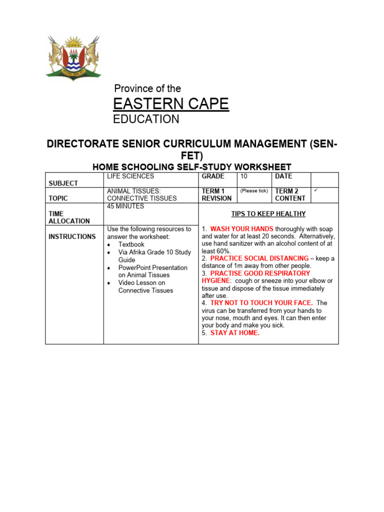 00 Life Sciences Grade 10 Worksheet Connective Tissue | PDF | Tissue ...
