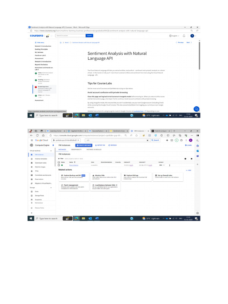 Sentiment Analysis Lab Issue screenshots | PDF