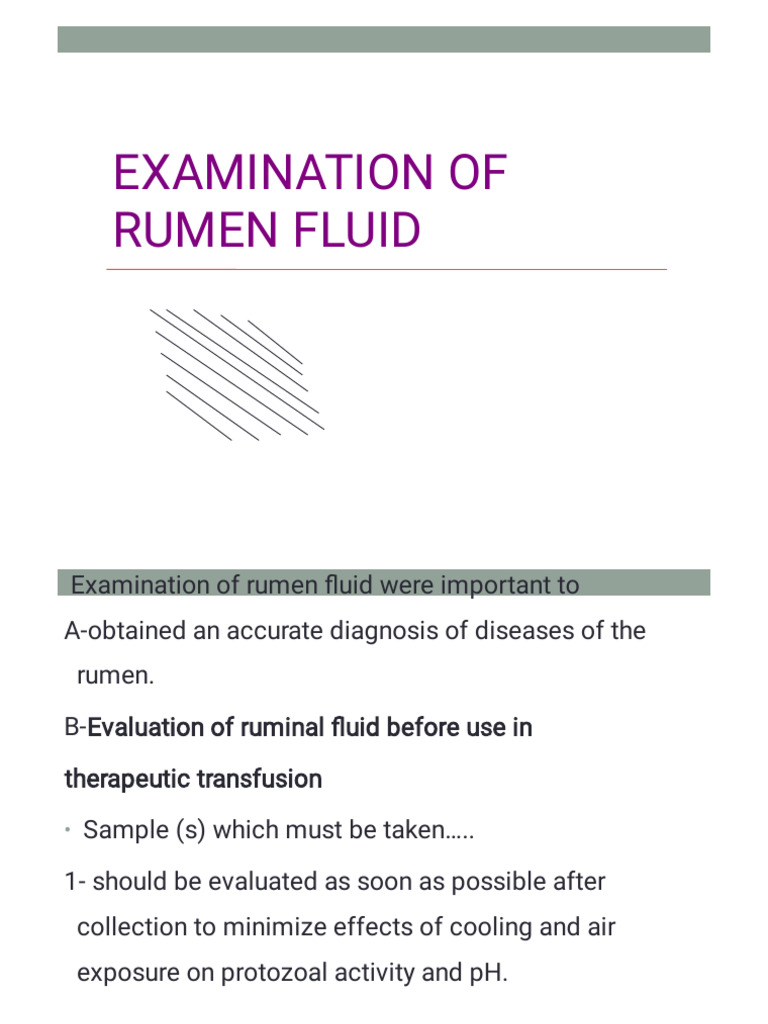 Rumen Fluied Examination | PDF | Dietary Fiber | Diet & Nutrition