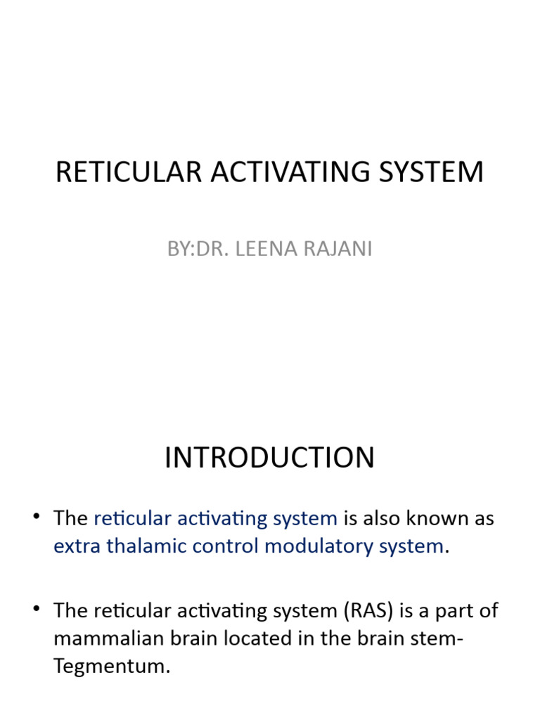 Reticular Activating System Guide | PDF | Brainstem | Thalamus