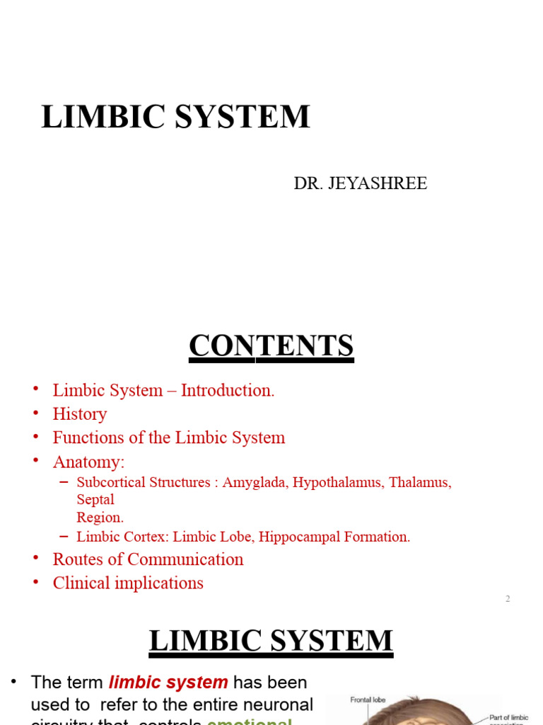 Limbic System 111222 | PDF | Hippocampus | Limbic System