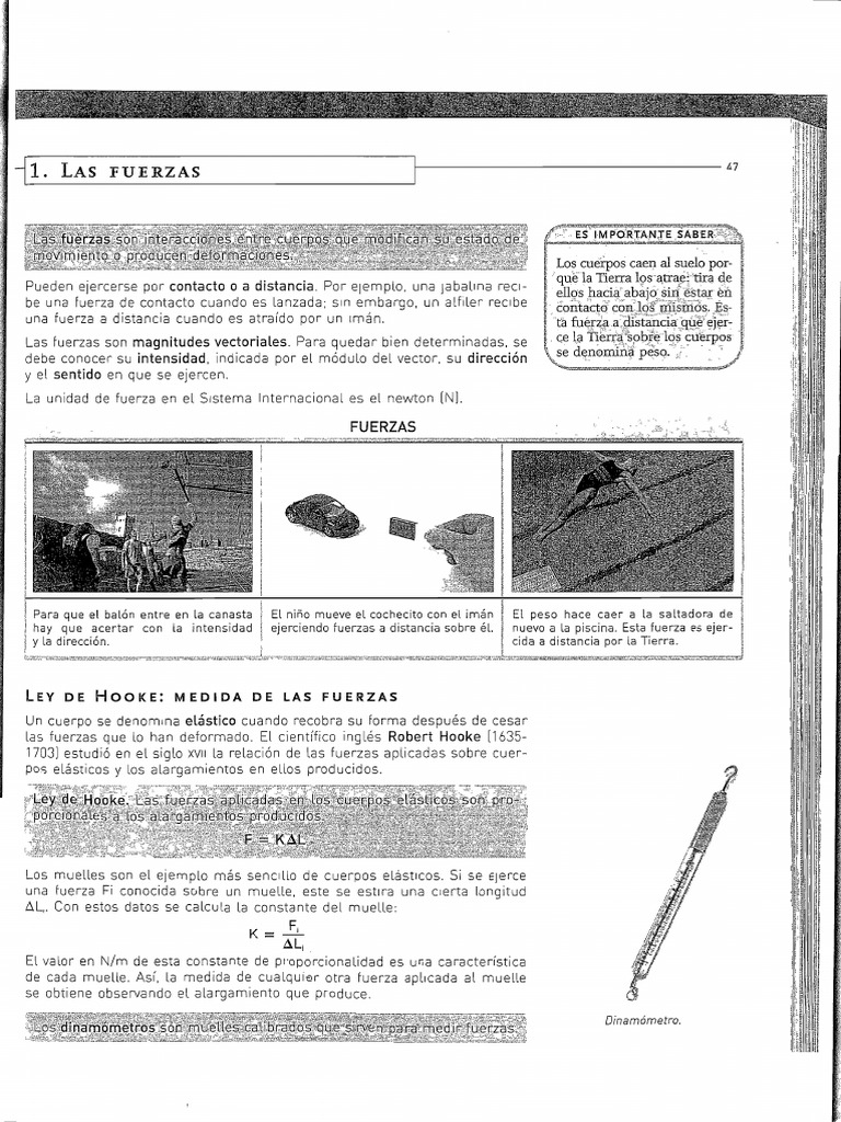LAS FUERZAS Y EL MOVIMIENTO | PDF