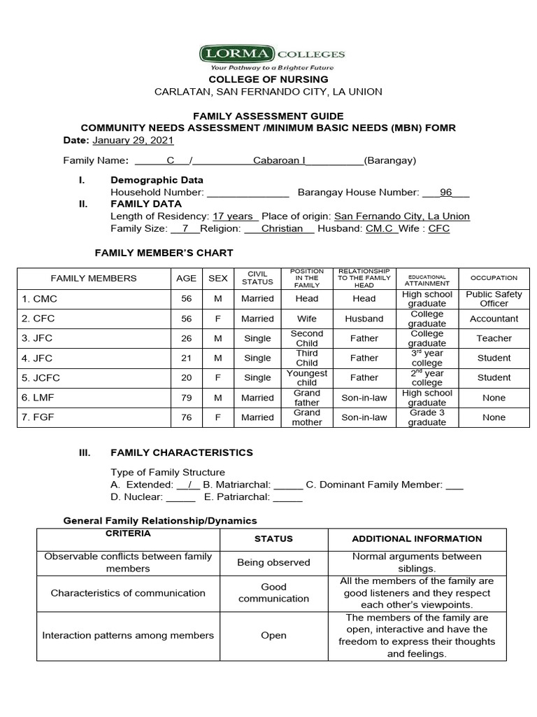 Family Assessment Tool. Sample | PDF