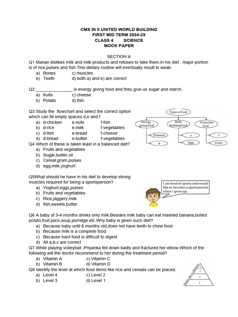 4, Science Mock Paper 2024-25 First Mid Term | PDF | Foods | Cuisine