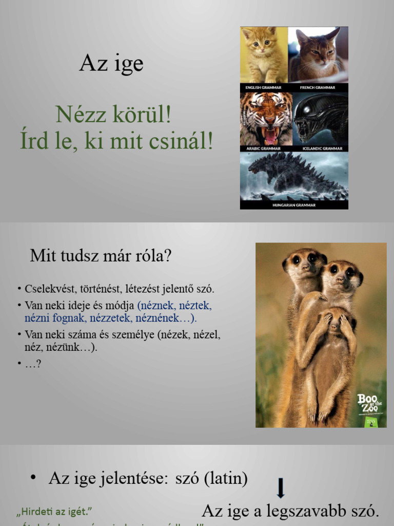 Az Ige: Nézz Körül! Írd Le, Ki Mit Csinál! | PDF