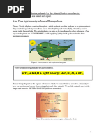 Elodea Photosynthesis Experiment Results | PDF | Cellular Respiration ...